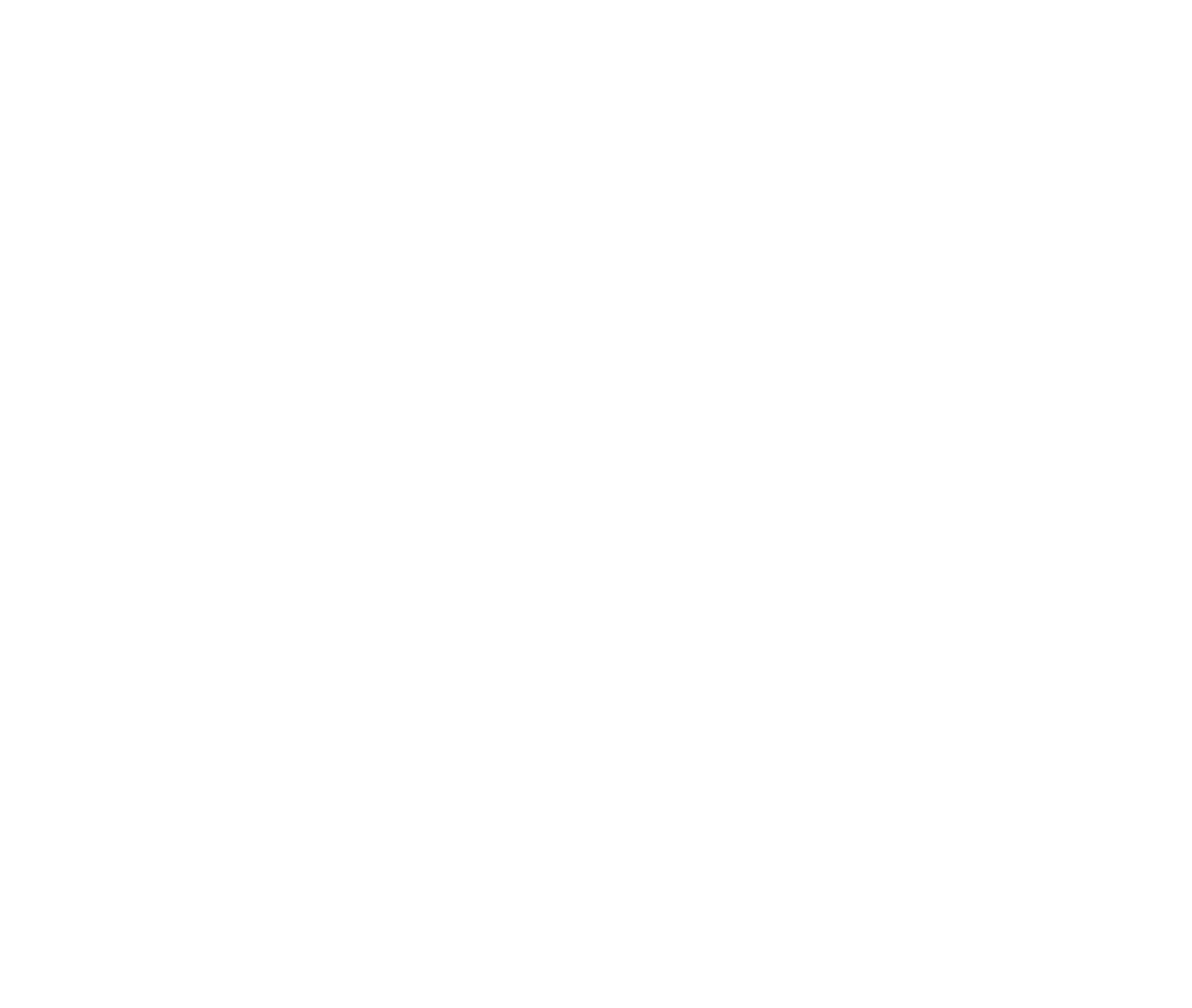 HOT 97 Summer Jam 2026 — The Experience